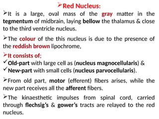5 Limbic System & Basal Ganglia .pptx