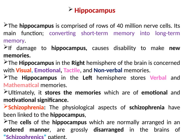 5 Limbic System And Basal Ganglia Pptx