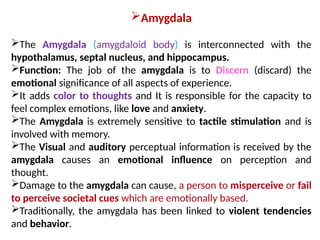 5 Limbic System & Basal Ganglia .pptx
