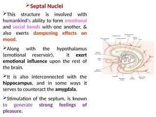 5 Limbic System & Basal Ganglia .pptx