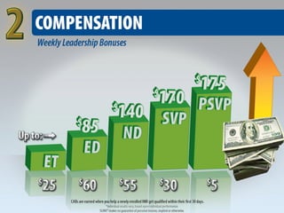 5 linx business opportunity presentation | PPT