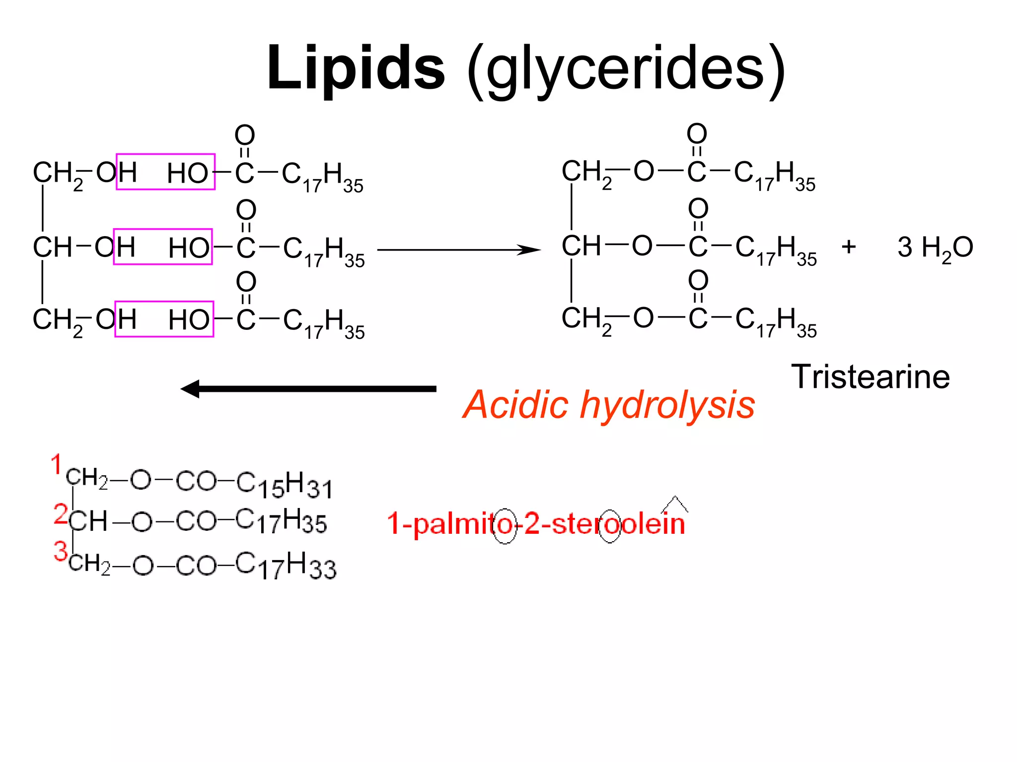 5 lipids | PPT | Chemistry | Science