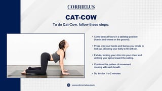 5 Lower Back Stretches to Reduce Pain and Improve Mobility.pptx.pptx