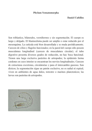 Nematomorpha | PDF