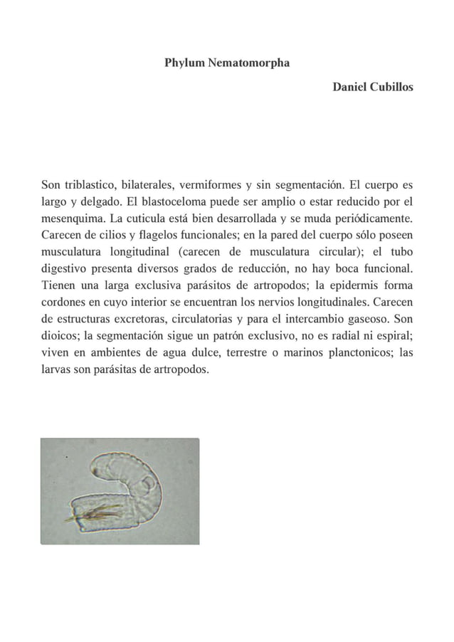 Nematomorpha | PDF