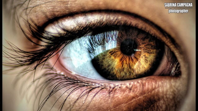 Common Film Language Shot Types | PDF | Cameras and Camcorders ...