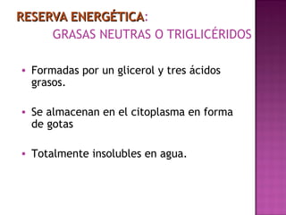 Biología - Lipidos | PPT