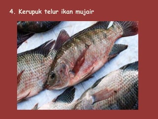 5 macam jenis ikan yang bisa di olah | PPT