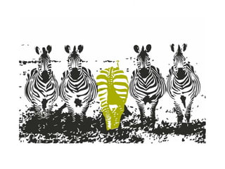 Mads Clemmensen, Foodjob | PDF