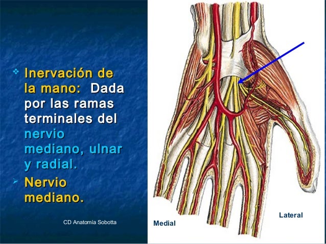 Mano
