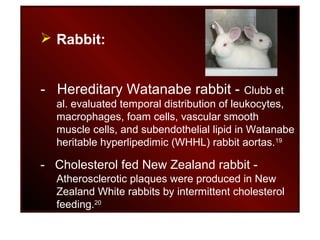 222 animal models of heart attack | PPT