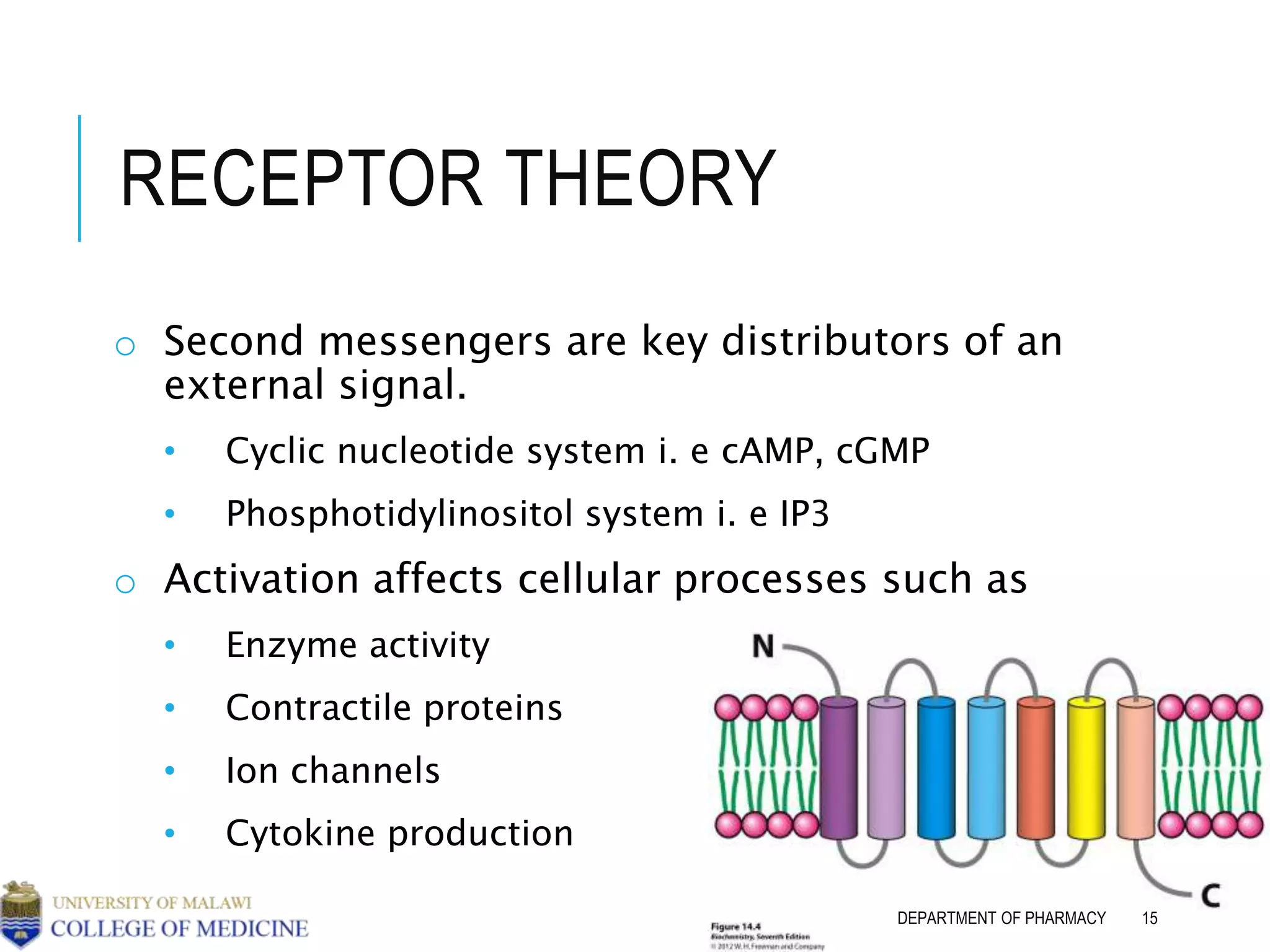 5 mechanisms of drug action | PPT