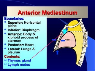 5) Mediastinum(Anatomy & Histology).pptx .ppt