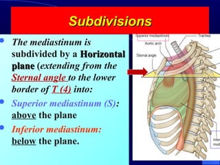 5) Mediastinum(Anatomy & Histology).pptx .ppt