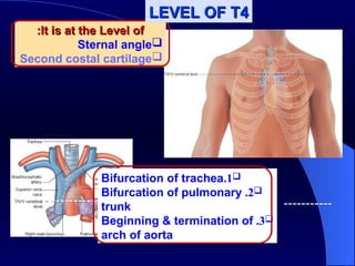 5) Mediastinum(Anatomy & Histology).pptx .ppt