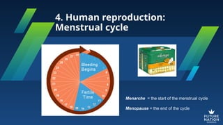 5 Menstrual cycle (3).pptx based on life sciences | PPTX