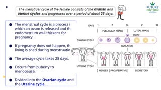 5 Menstrual cycle (3).pptx based on life sciences | PPTX