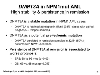 Elderly Acute Myeloid Leukemia | PPTX