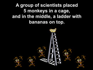 5 monkeys | PPTX