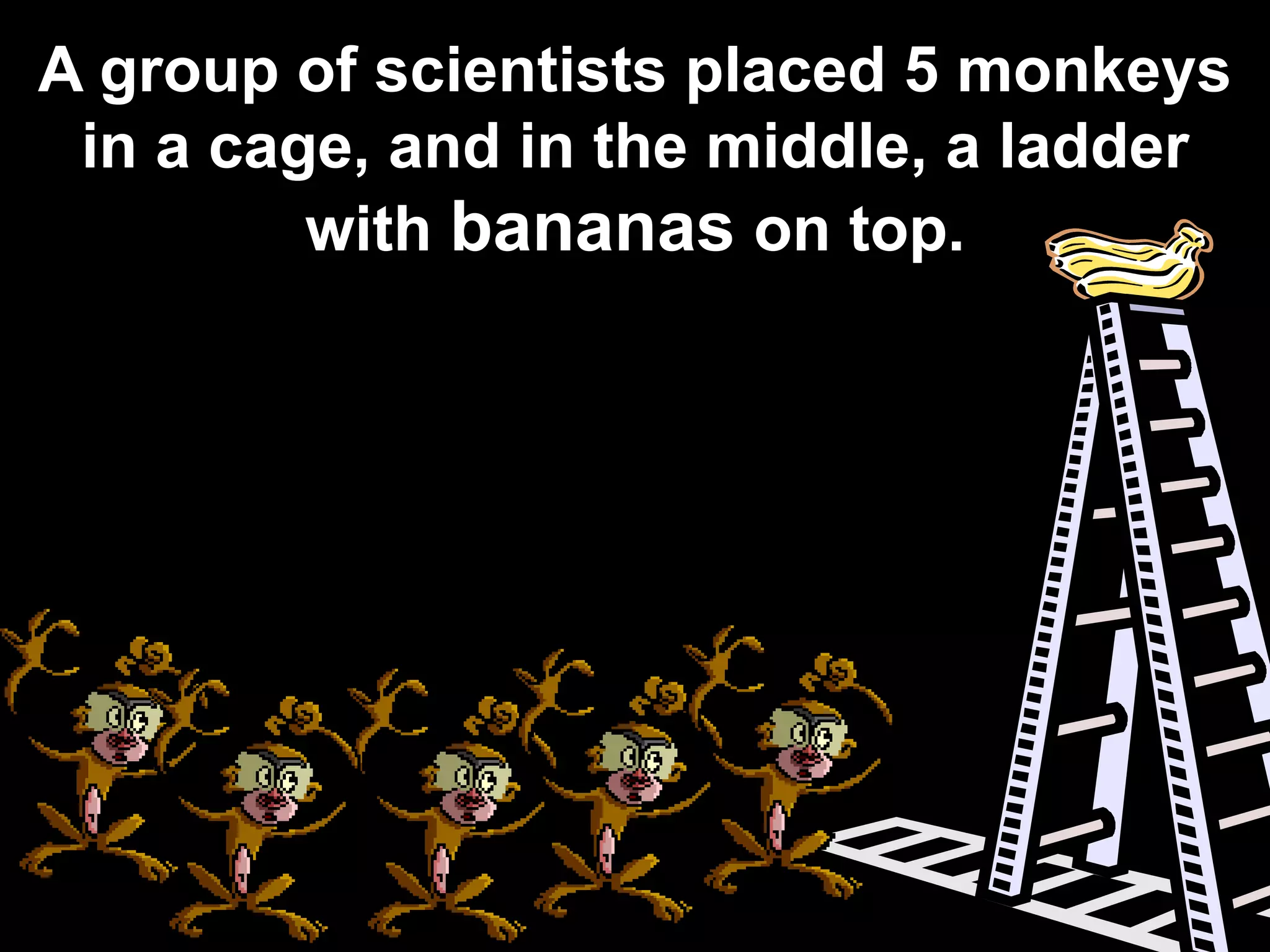 5 monkeys allegory | PPTX
