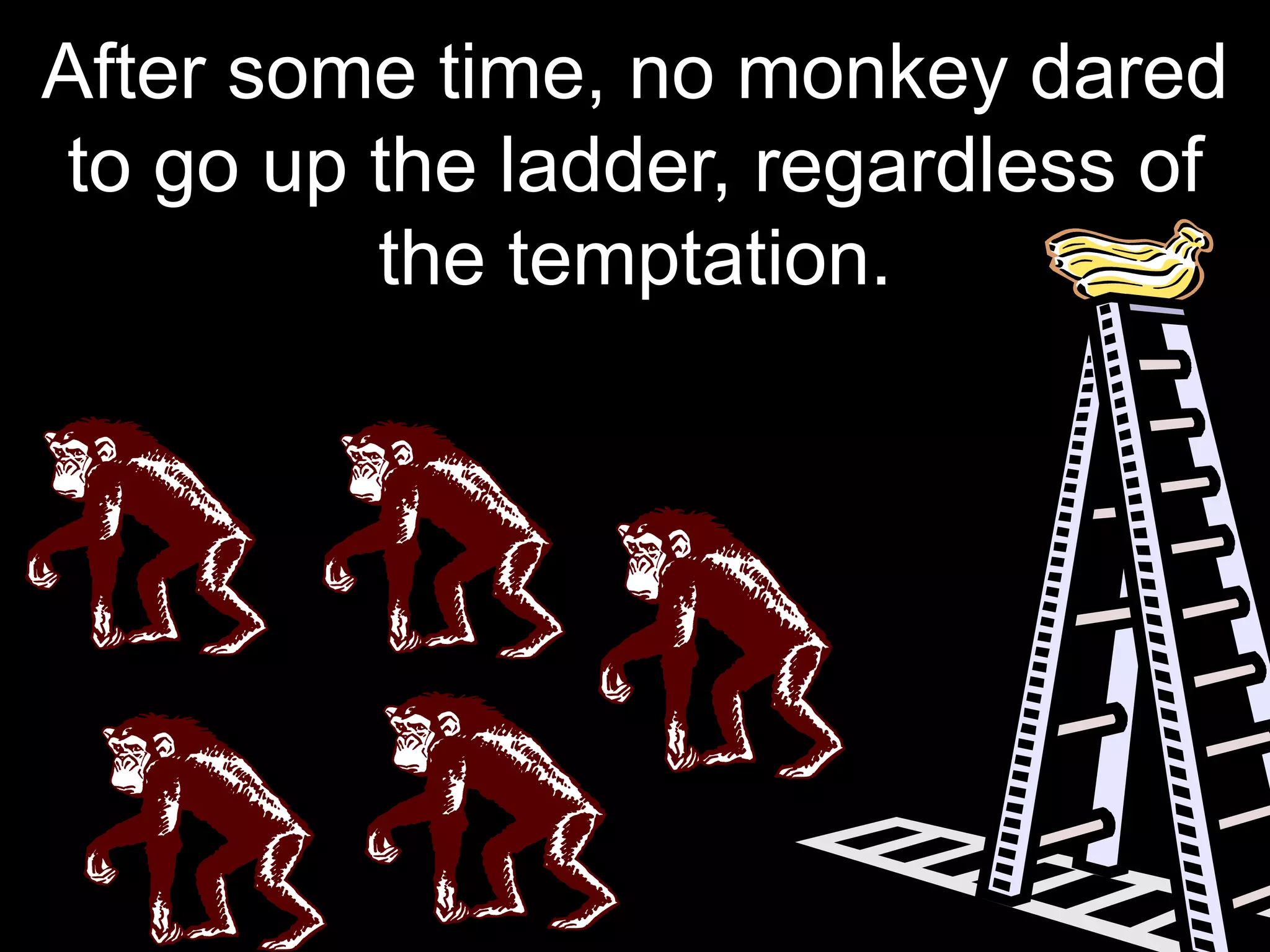 5 monkeys allegory | PPTX