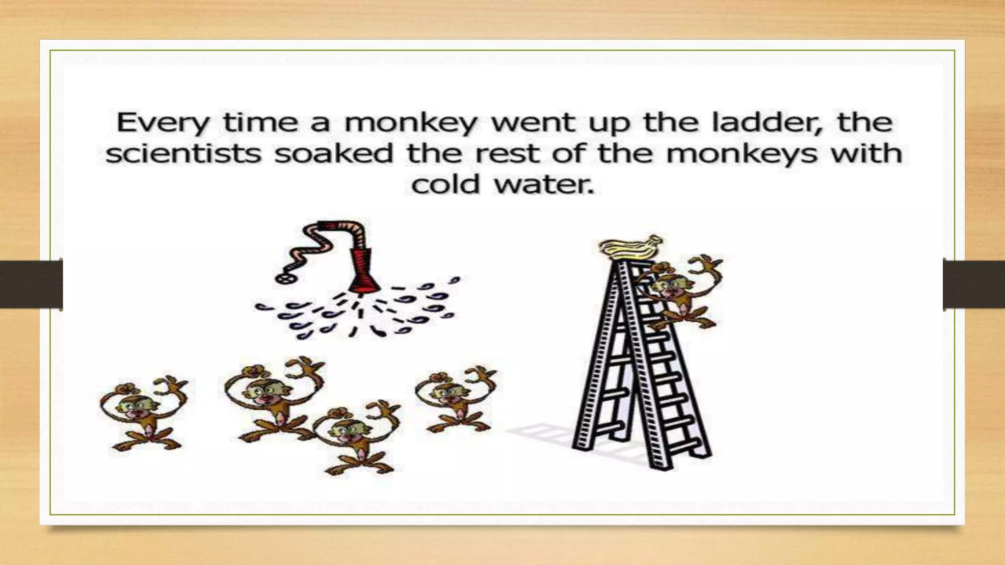 5 monkeys and a ladder | PPTX