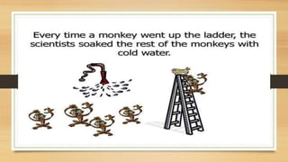 5 monkeys and a ladder | PPTX