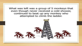 5 monkeys and a ladder | PPTX