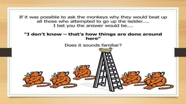 5 monkeys and a ladder | PPTX
