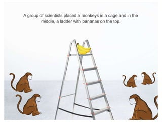 5 monkeys experiment pgp viva vvit | PPTX