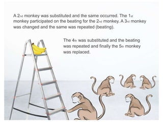 5 monkeys experiment pgp viva vvit | PPTX