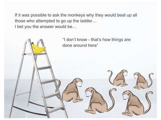 5 monkeys experiment pgp viva vvit | PPTX