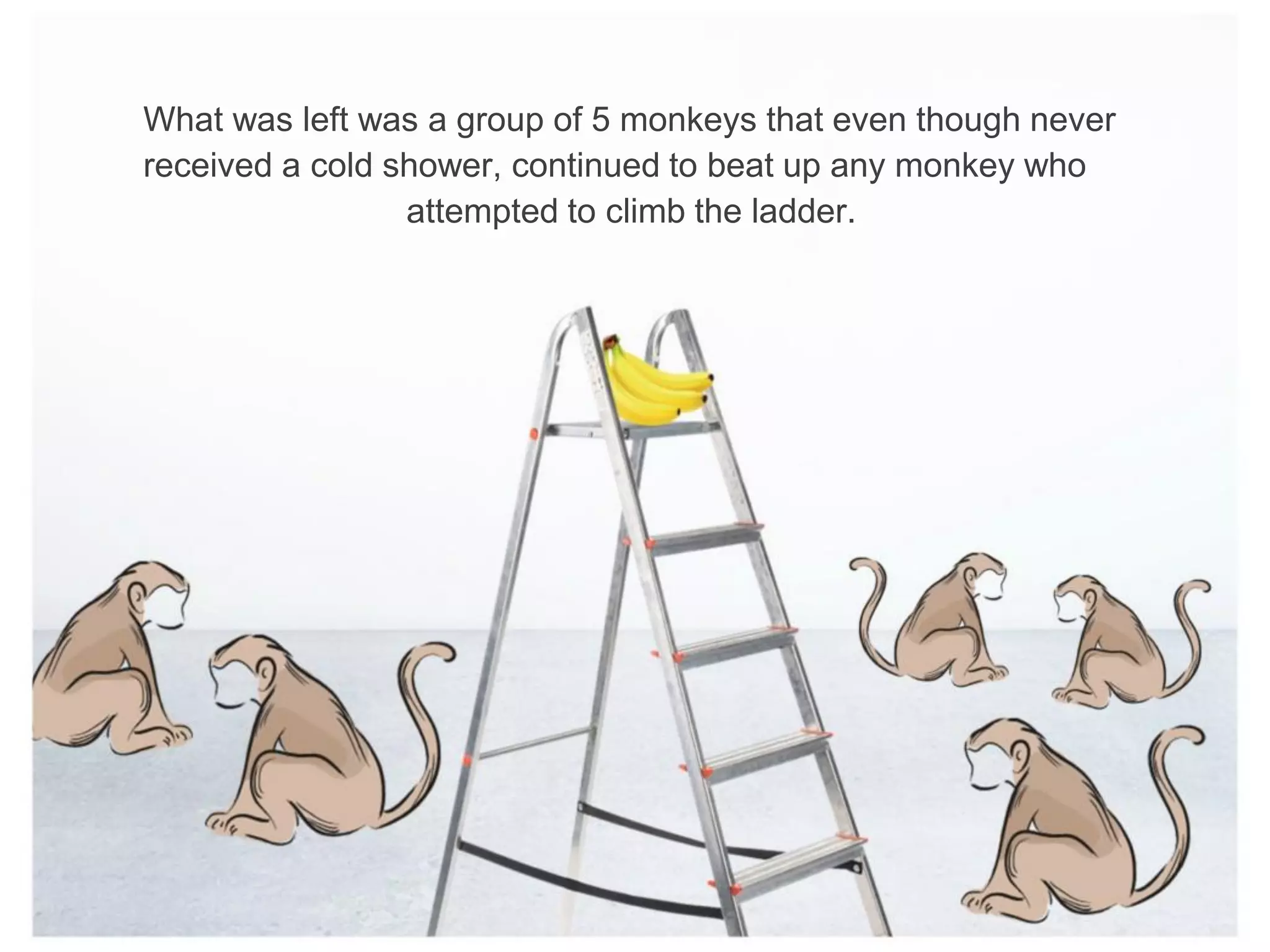 5 monkeys experiment pgp viva vvit converted | PDF