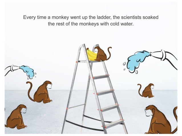 5 monkeys experiment pgp viva vvit converted | PDF