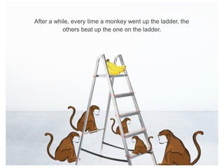 5 monkeys experiment pgp viva vvit converted | PDF