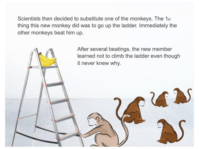 5 monkeys experiment pgp viva vvit converted | PDF