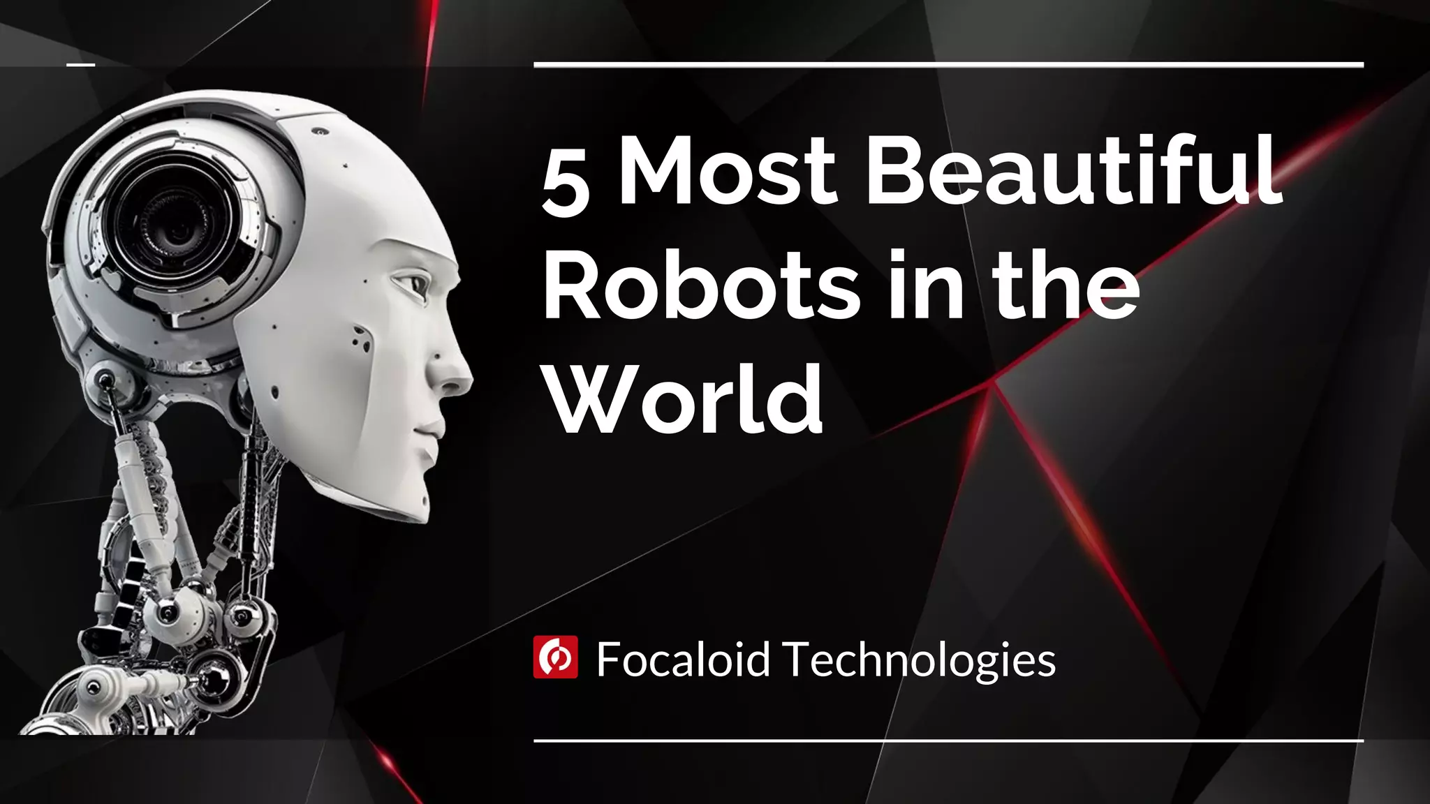 5 most beautiful robots in the world | PDF