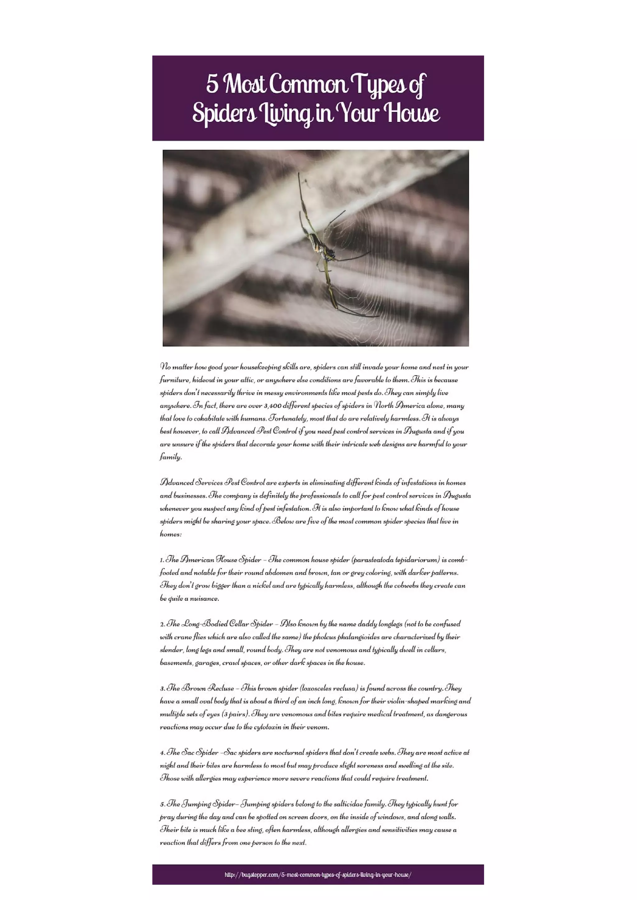 5 Most Common Types of Spiders Living in Your House | PDF