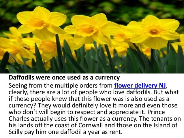 5 most interesting facts about flowers that you never knew