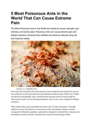 5 Most Poisonous Ants in the World That Can Cause Extreme Pain.pdf