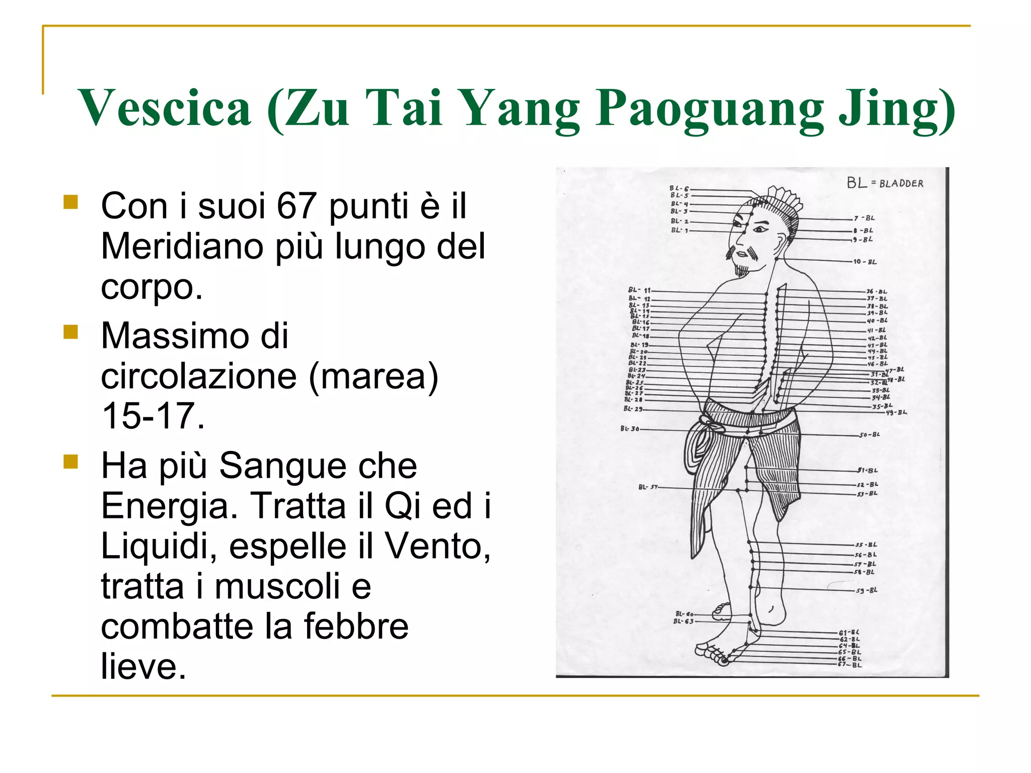 5 movimenti meridiani_e_organi_interni | PDF | World Cuisines | Food ...