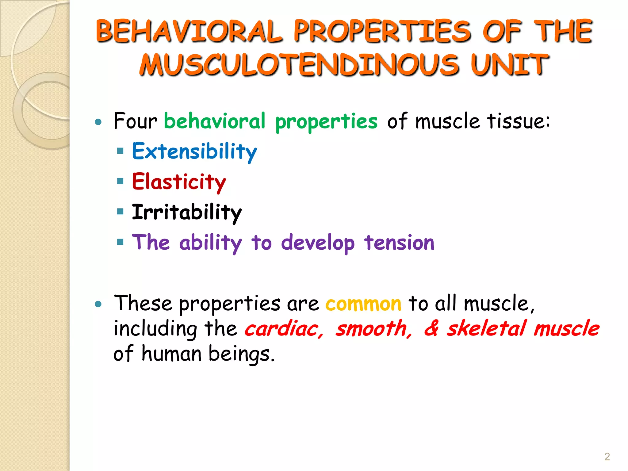 Muscular System (Our Muscle) | PPTX