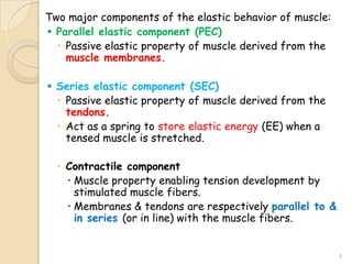 Muscular System (Our Muscle) | PPT