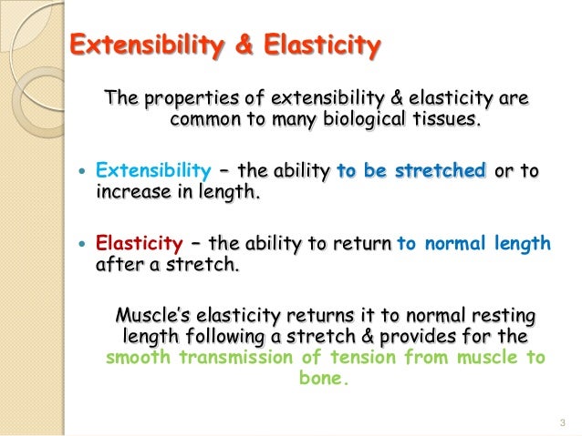 Muscular System (Our Muscle)