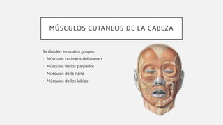 5 MUSCULOS DE LA CABEZA.pptx