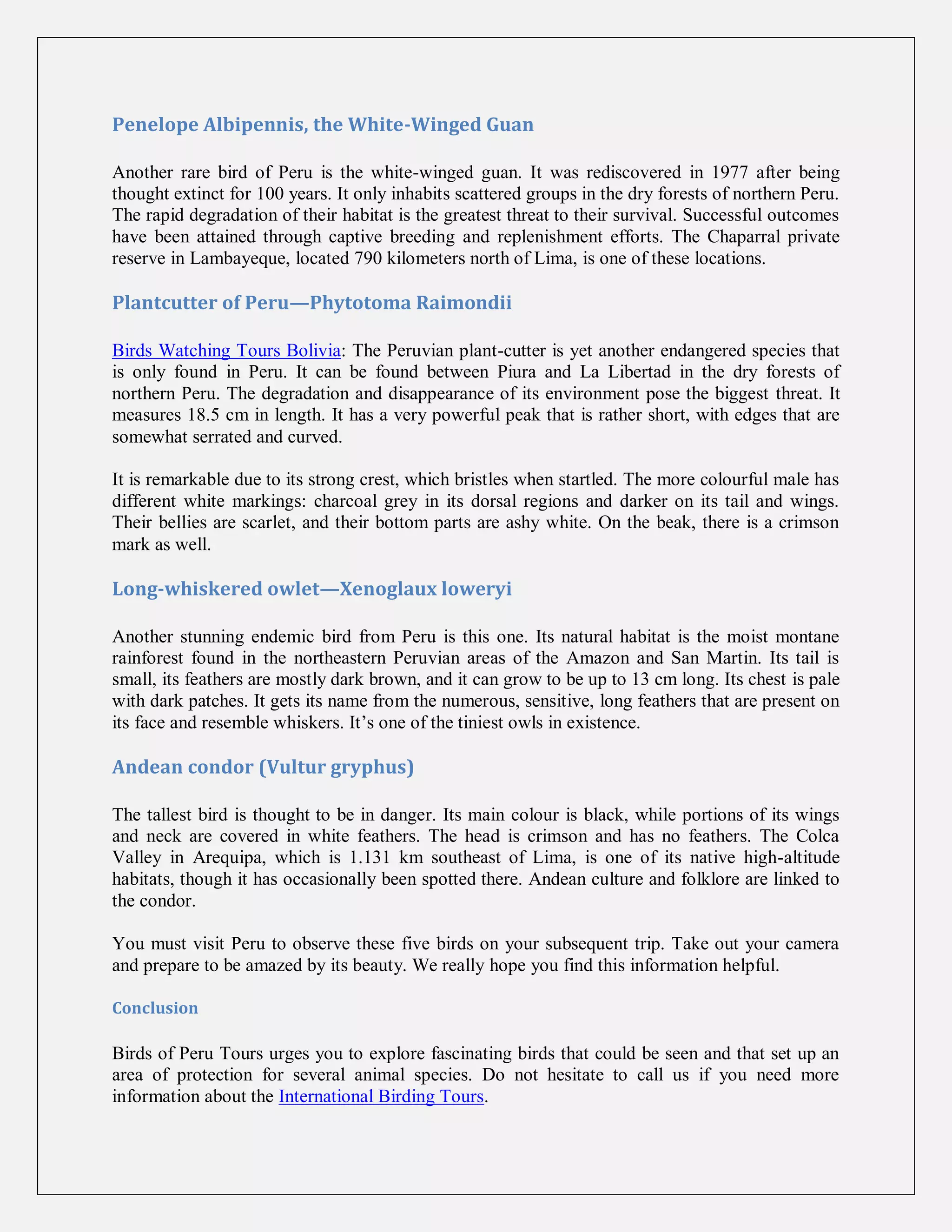 5 Must-Photographed Birds Species in Peru | PDF