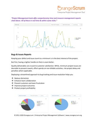 5 must have project management reports | PDF