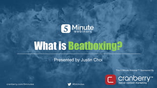 5 mw beatbox | PPT