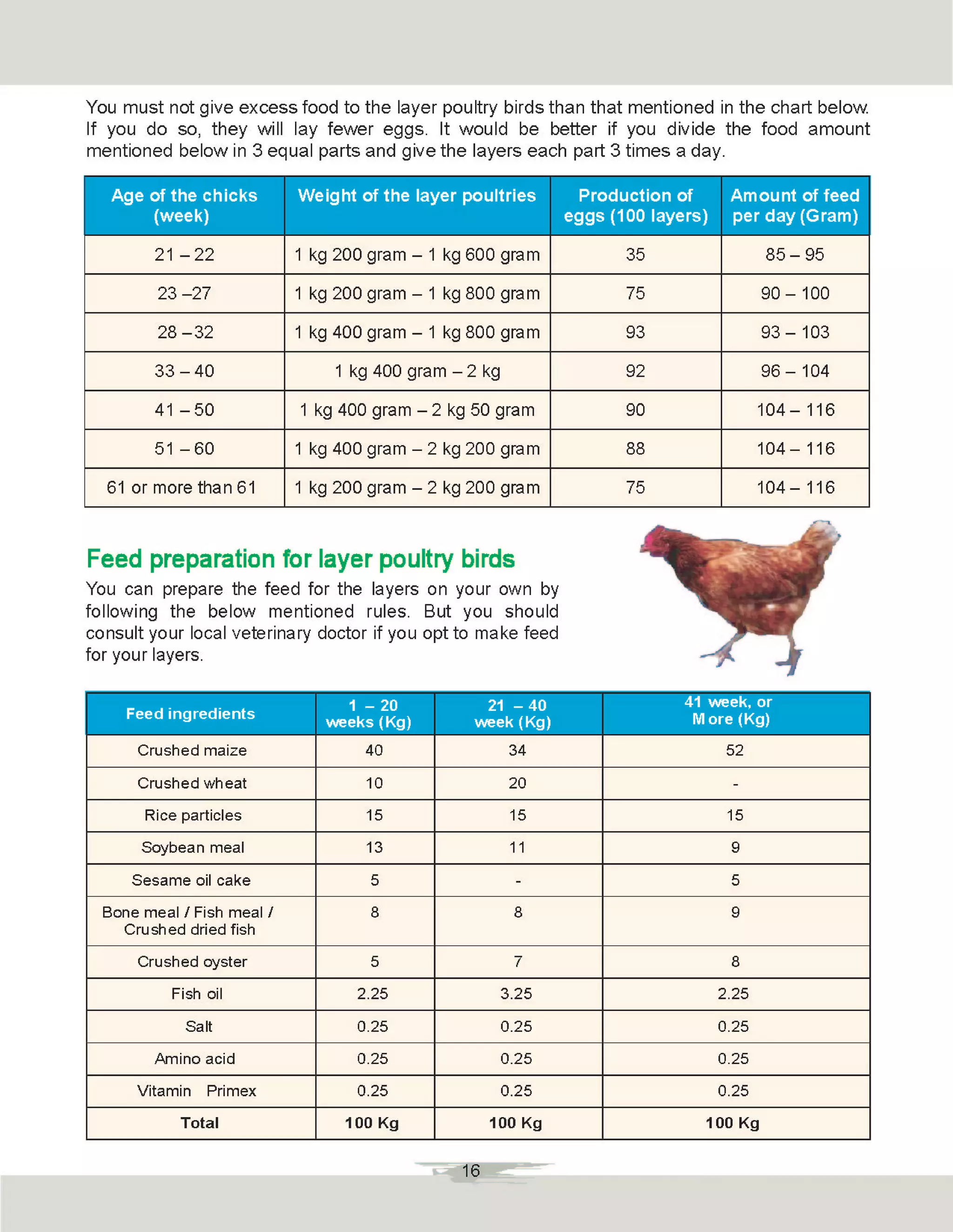 Booklet poultry rearing- পোল্ট্রি পালন | PDF
