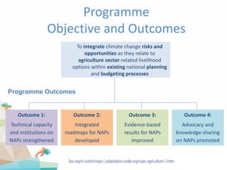The NAP Agriculture Programme | PPT